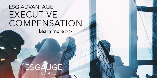 CEO & Executive Compensation