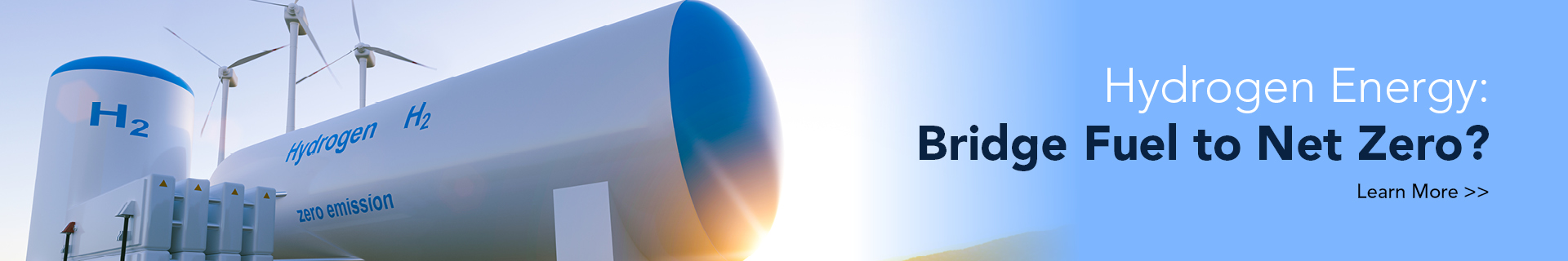 Hydrogen Energy: Bridge Fuel to Net Zero?